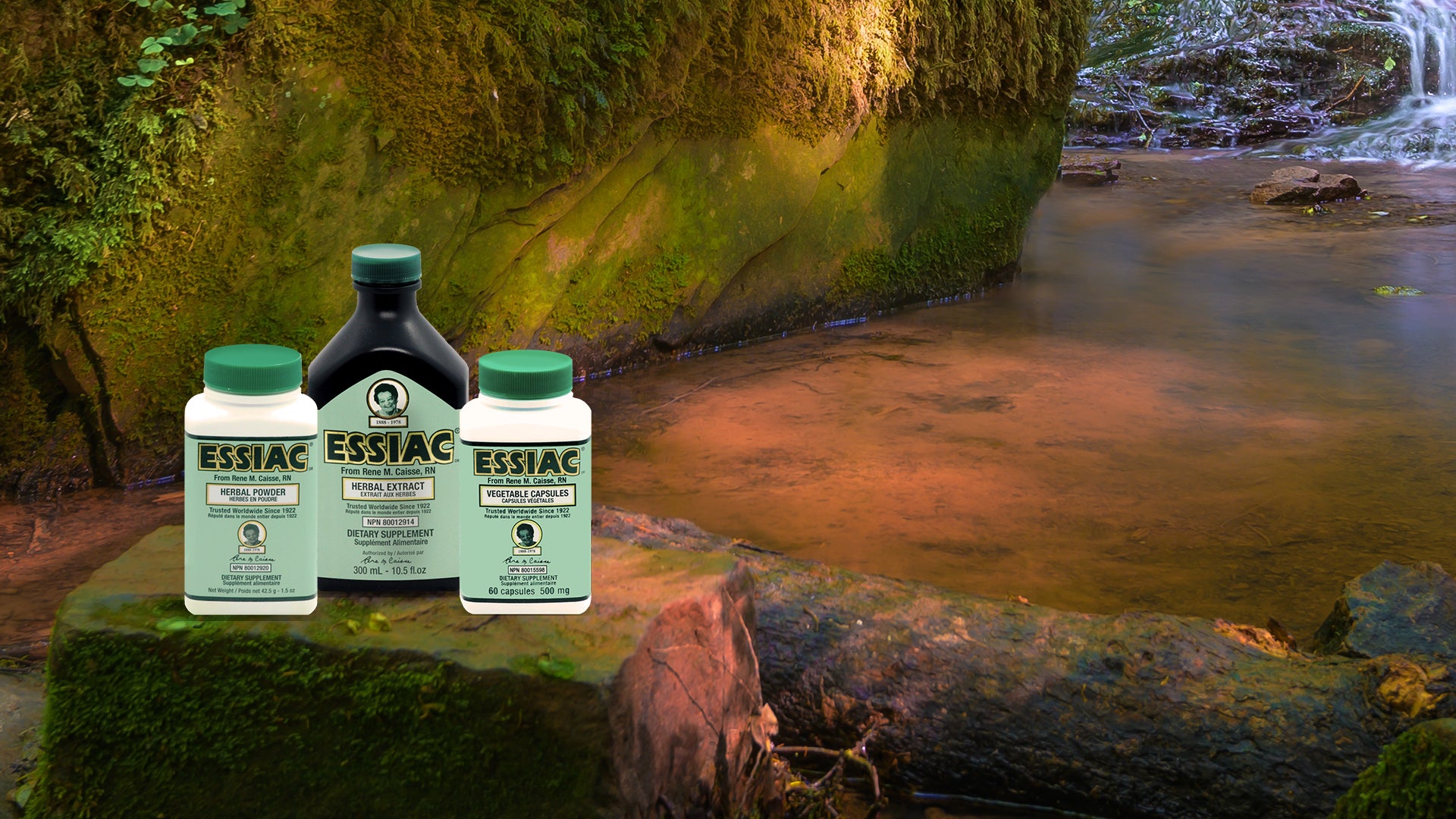 Essiac Tea - Original Capsules Liquid Extract – Essiac-Canada