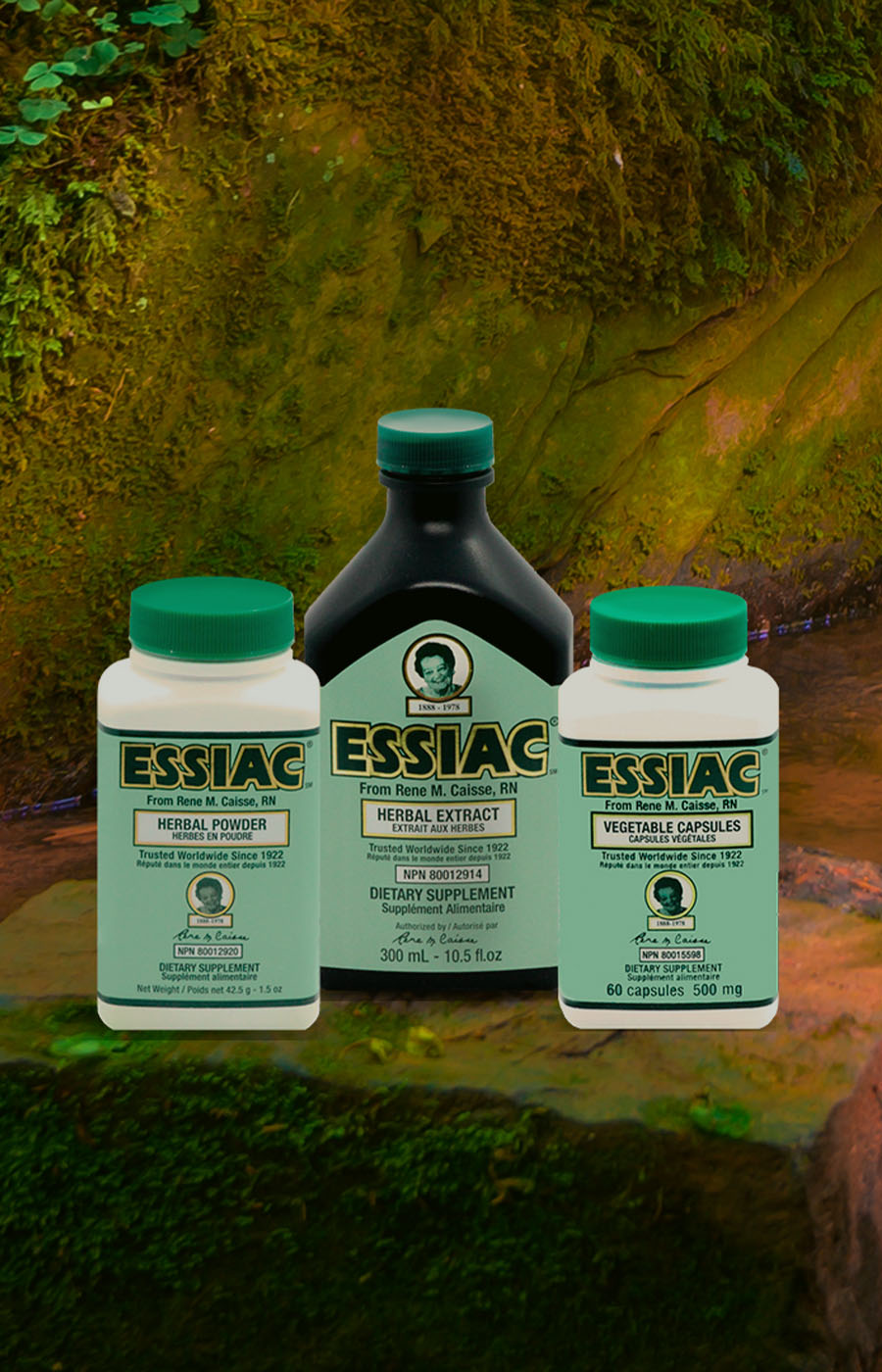 Essiac Tea - Original Capsules Liquid Extract – Essiac-Canada